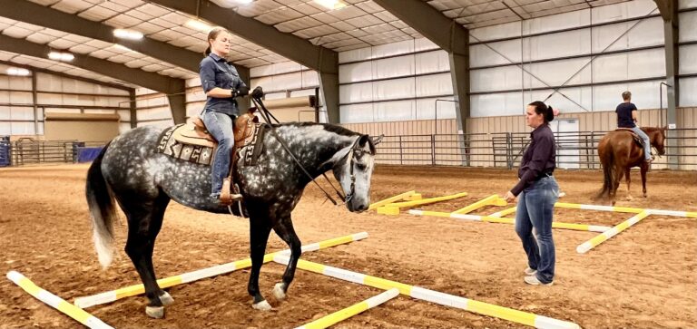 NMQHA – NEW MEXICO QUARTER HORSE ASSOCIATION