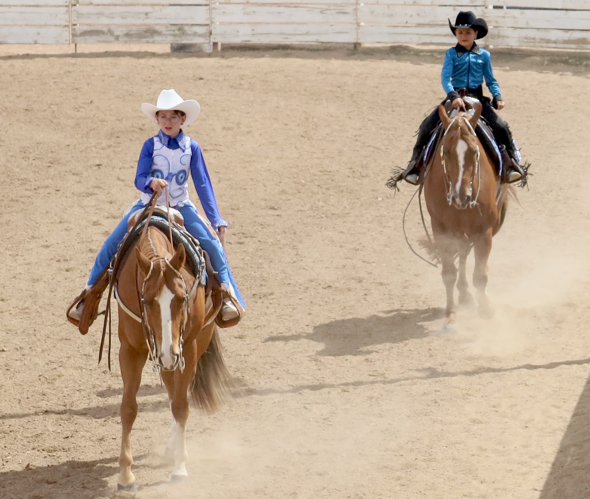 NMQHA – NEW MEXICO QUARTER HORSE ASSOCIATION